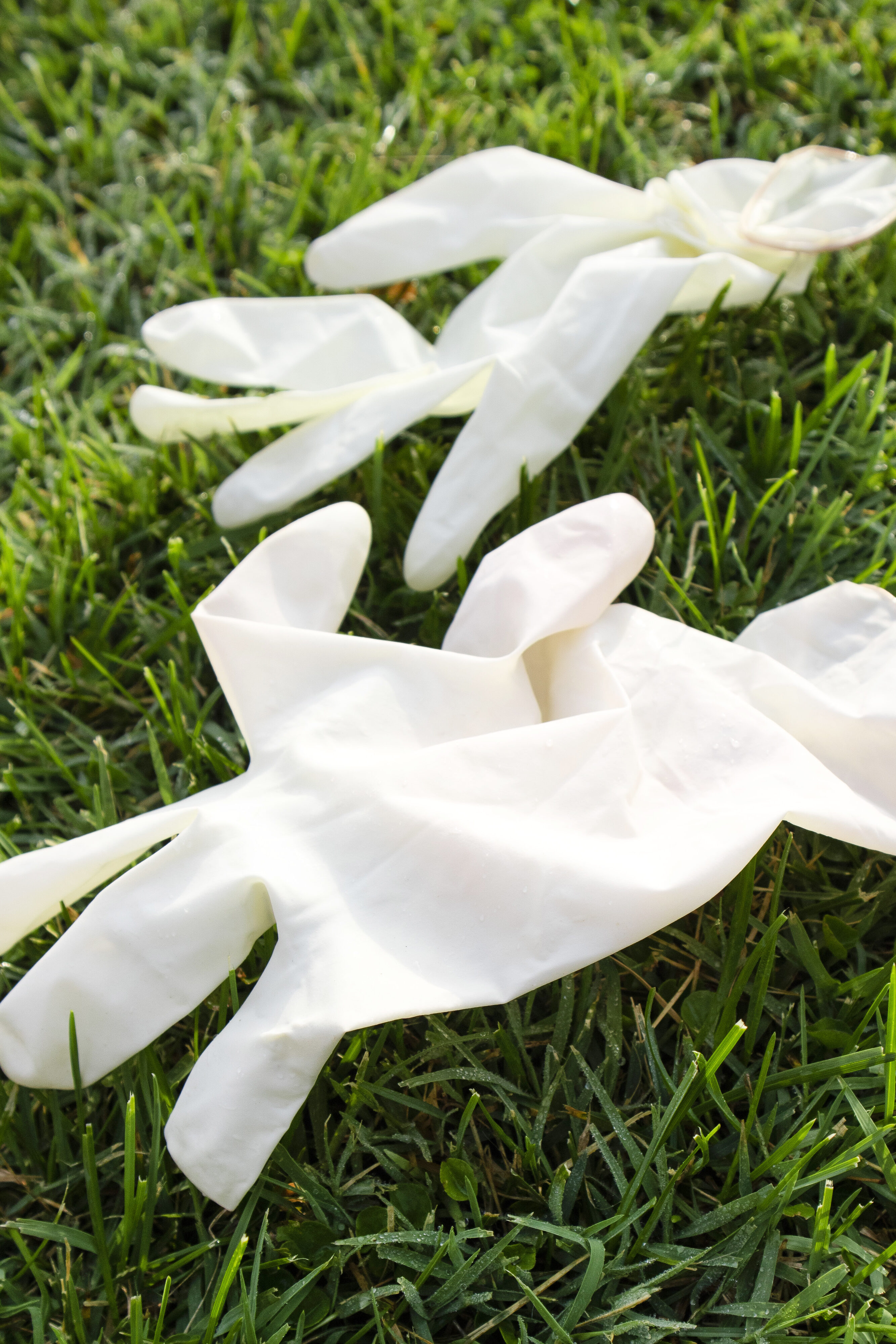 How to Care for Gloves — Clean, Reuse & Dispose Right (glove care ...